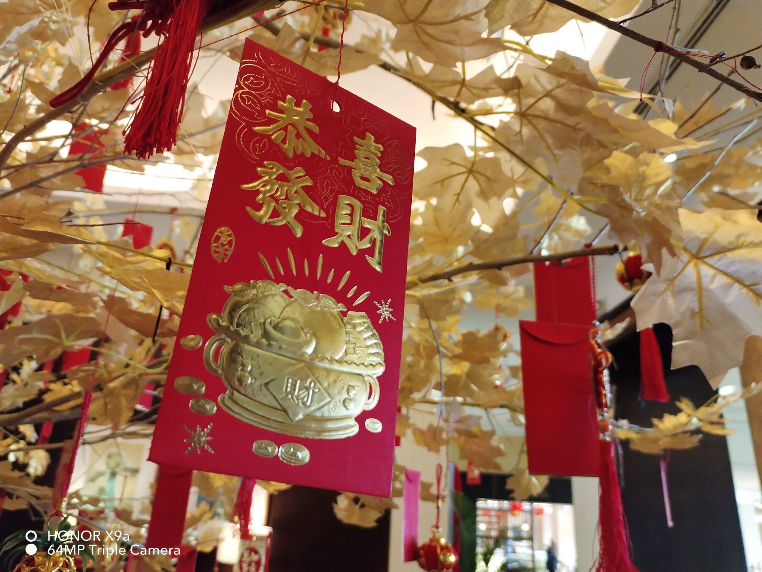 HONOR X9a 5G Review: Toughest OLED Curved Screen Phone | EveryTechEver