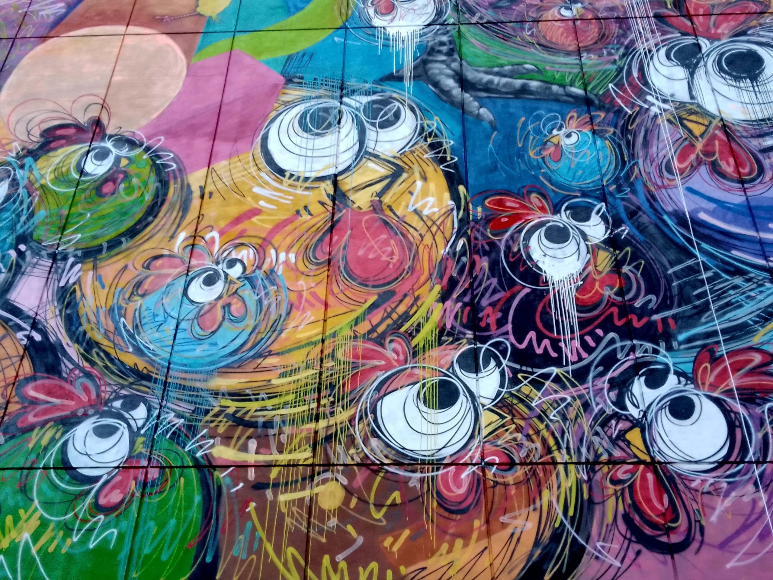 Nokia C31 Review: The most exciting C series yet | EveryTechEver